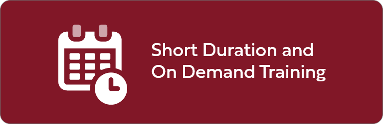 Learning and Delivery Methods | New Horizons